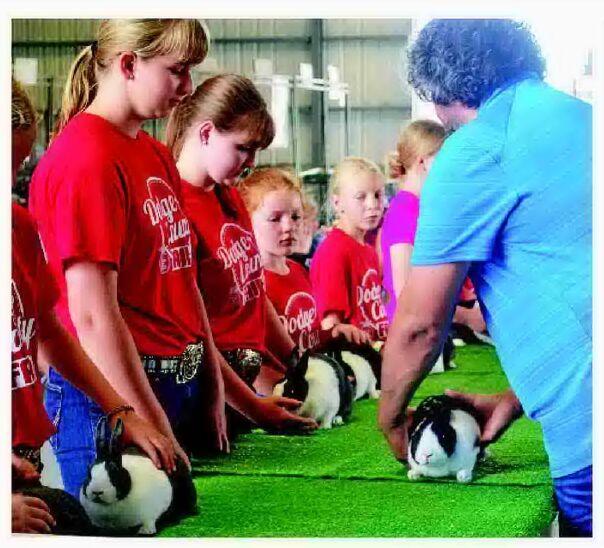 Furry fun was had by all during the dodge County Fair