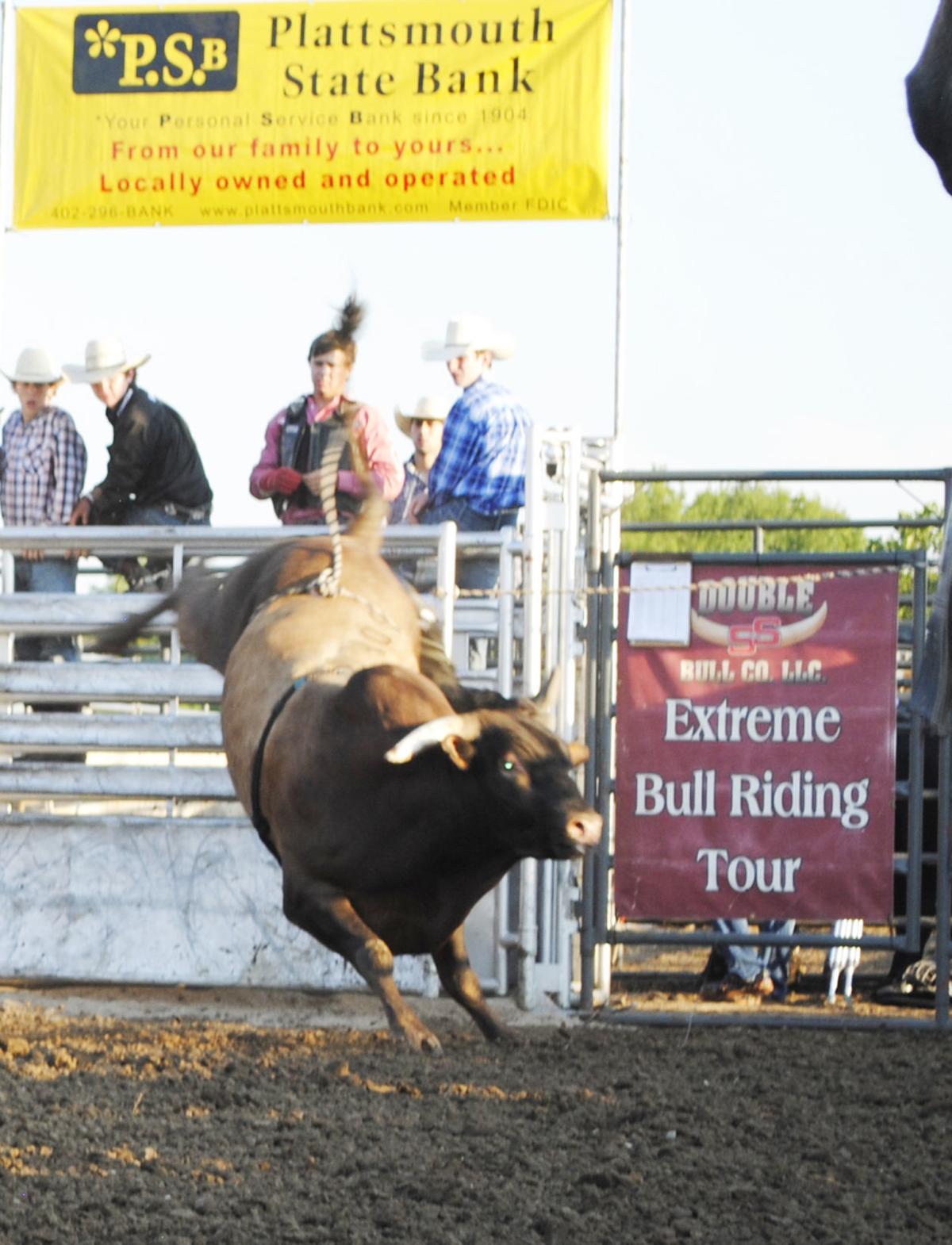 Full house enjoys extreme bull riding | Community | fremonttribune.com