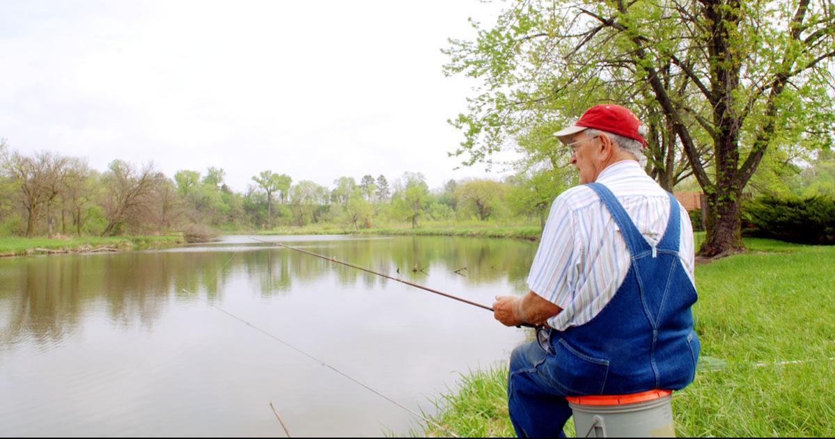 Virtual public meeting will focus on future of Dead Timber State ...