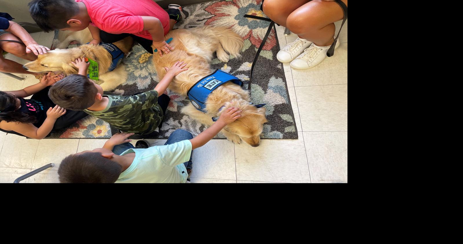Katie the Comfort Dog returns from Uvalde