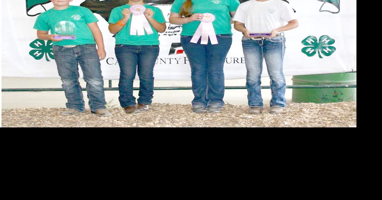 Cass County Fair 4-H Meat Goat Show results posted