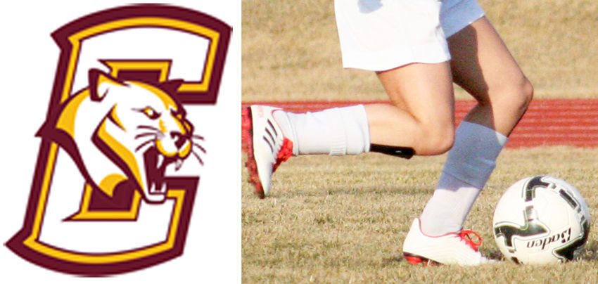 Conestoga girls battle Cardinals, Pioneers