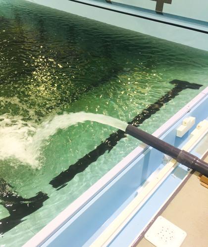 New Dillon Family YMCA Aquatic Center proves to be game changer