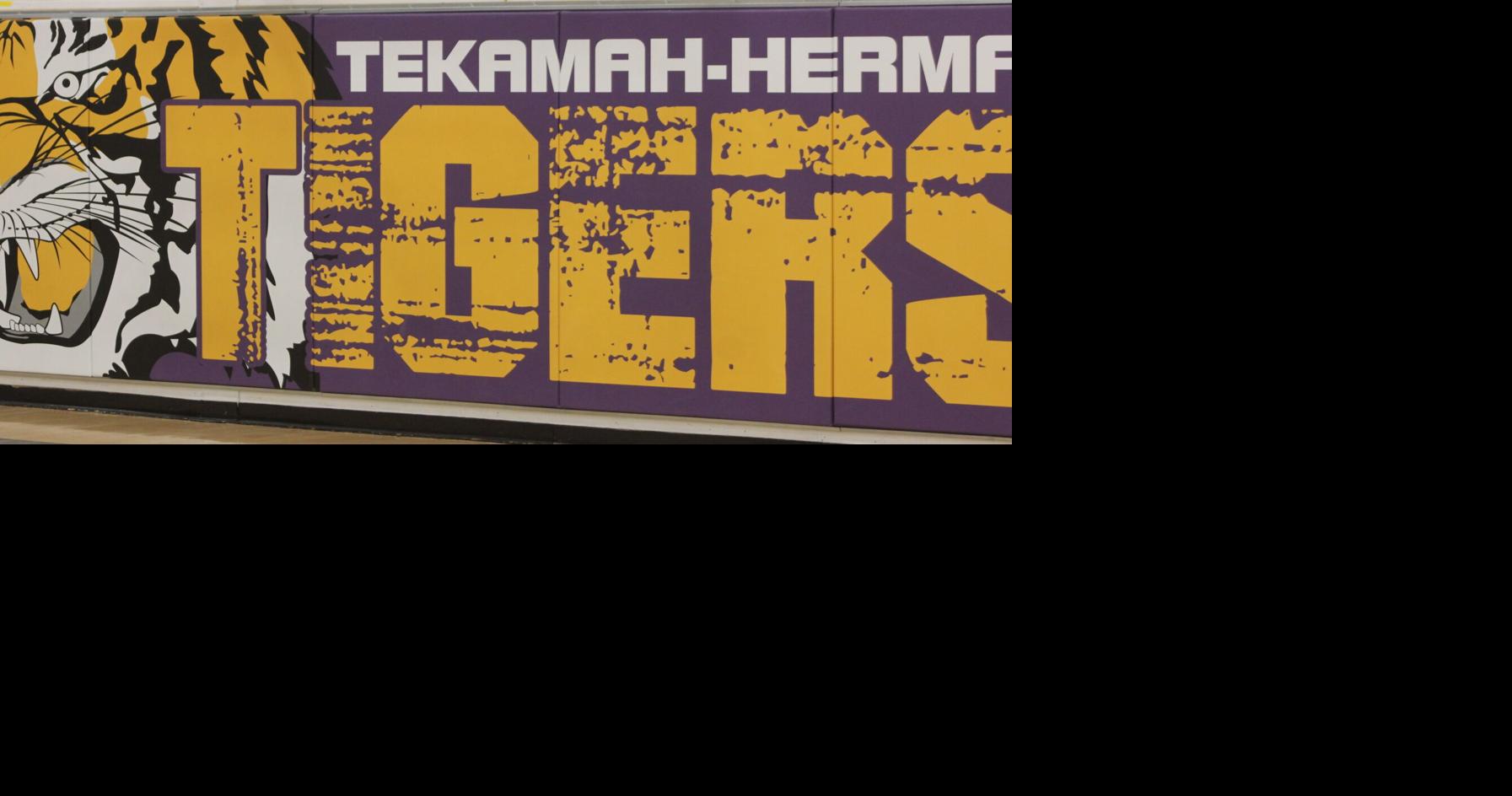 No-hitter downs Tiger nine in regular-season opener