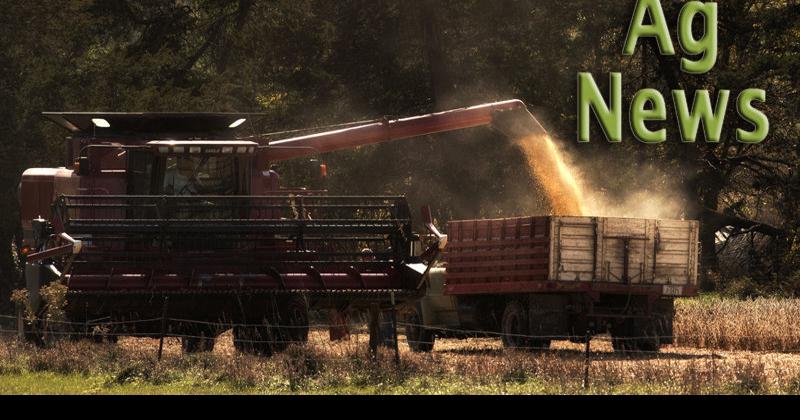 Fremont Chamber's Excellence in Agriculture Awards Luncheon postponed ...