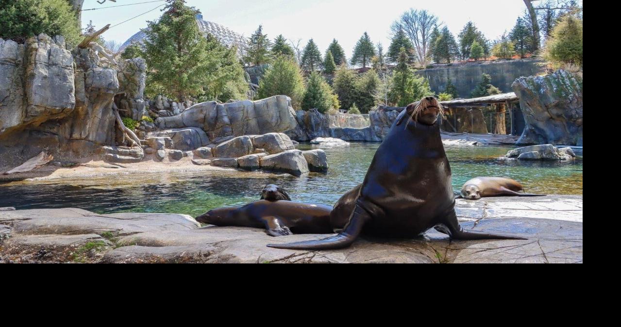 Omaha's Henry Doorly Zoo and Aquarium offering free admission for kids