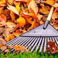 Fall Clean-up Day is Oct. 28