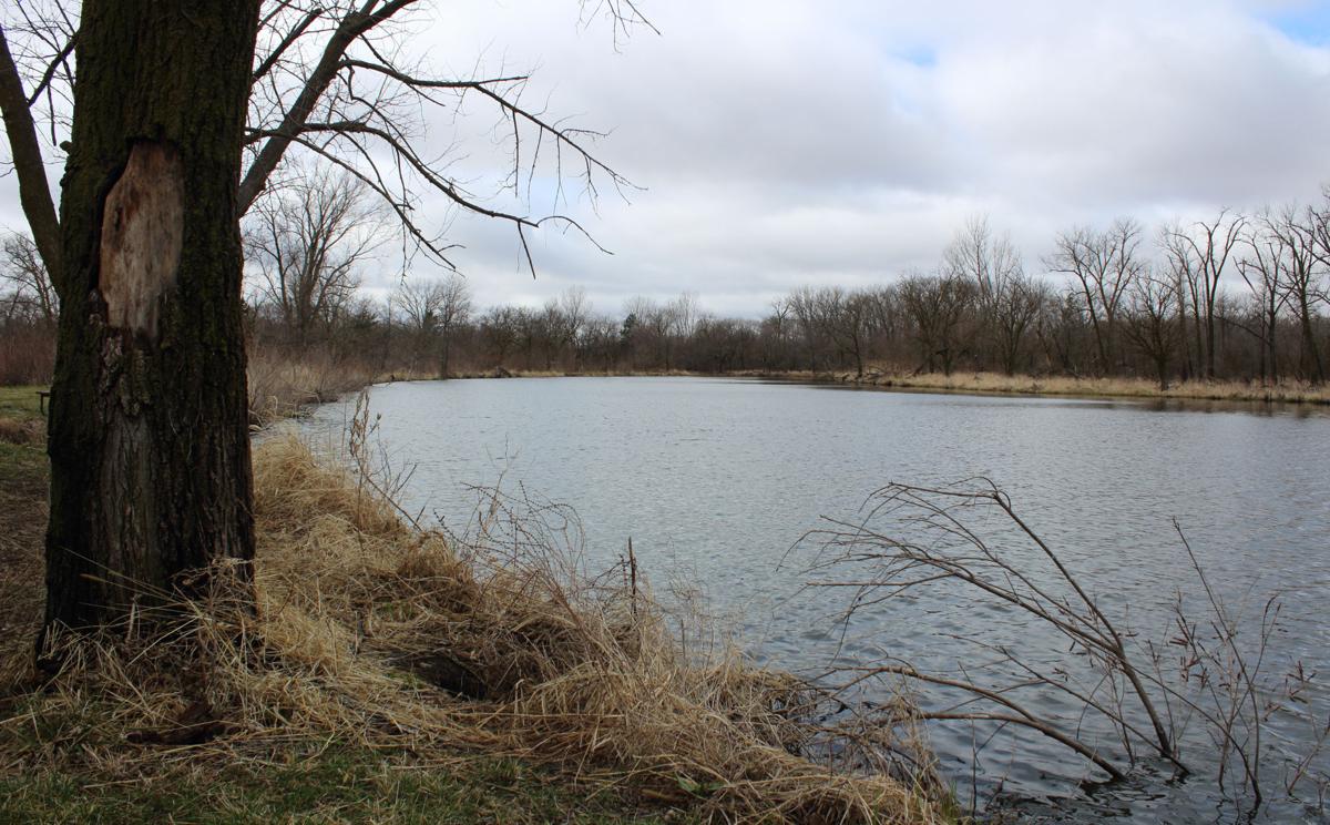 Dead Timber SRA campground temporarily closed