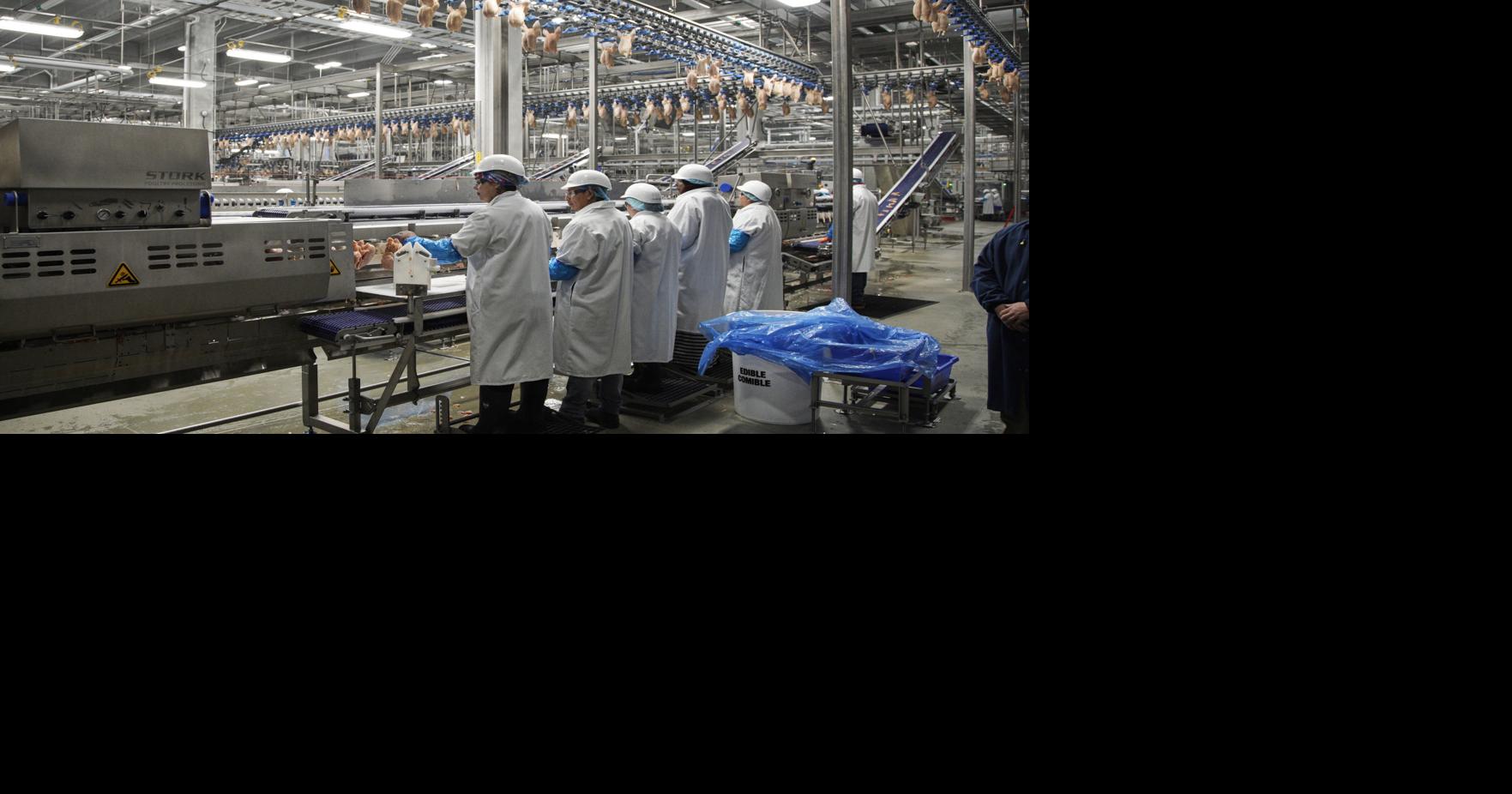Lincoln Premium Poultry announces 12 new cases of COVID-19 over past week