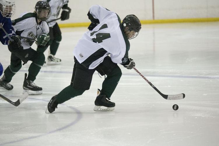 North Star Conference Hockey Championships | Sports | frontiersman.com