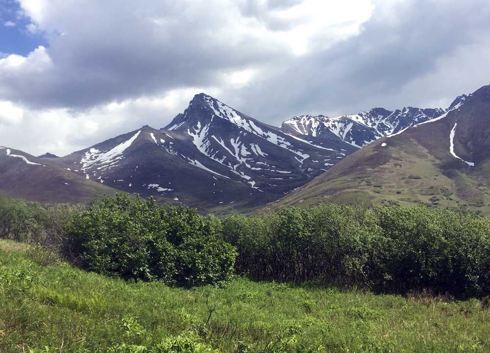 THROUGH THE LENS: Hiking Matansuka Peak | Gallery | frontiersman.com
