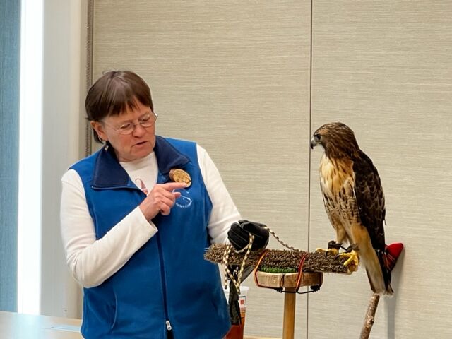 Birds Eye View Festival at Wasilla Library brings out friends, families ...