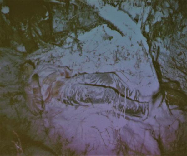 Jury sees graphic images of Grunwald’s body, interrogation of ...