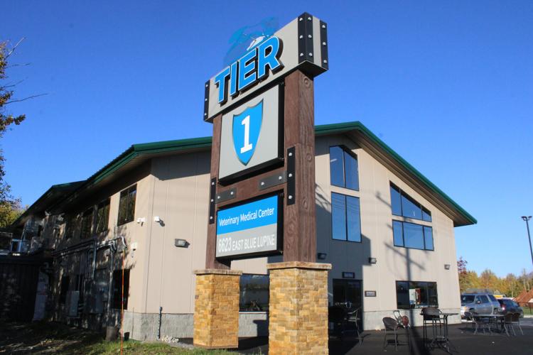 Tier 1 expands with full time eye service for local pet owners | Local ...