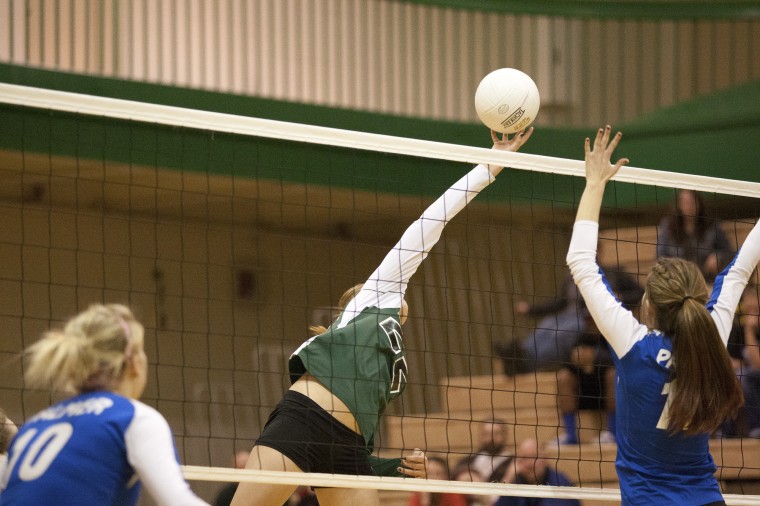 Palmer Moose vs Colony Knights Volleyball | Sports | frontiersman.com