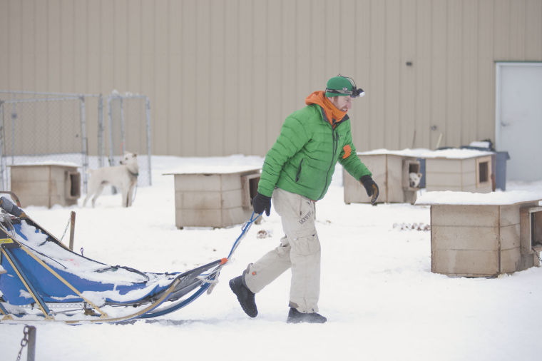 Valley musher eager to hit the trail | Local News Stories ...