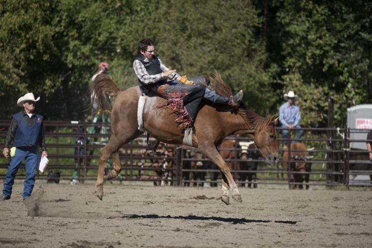 The 2013 Alaska State Fair Rodeo | Featured | frontiersman.com