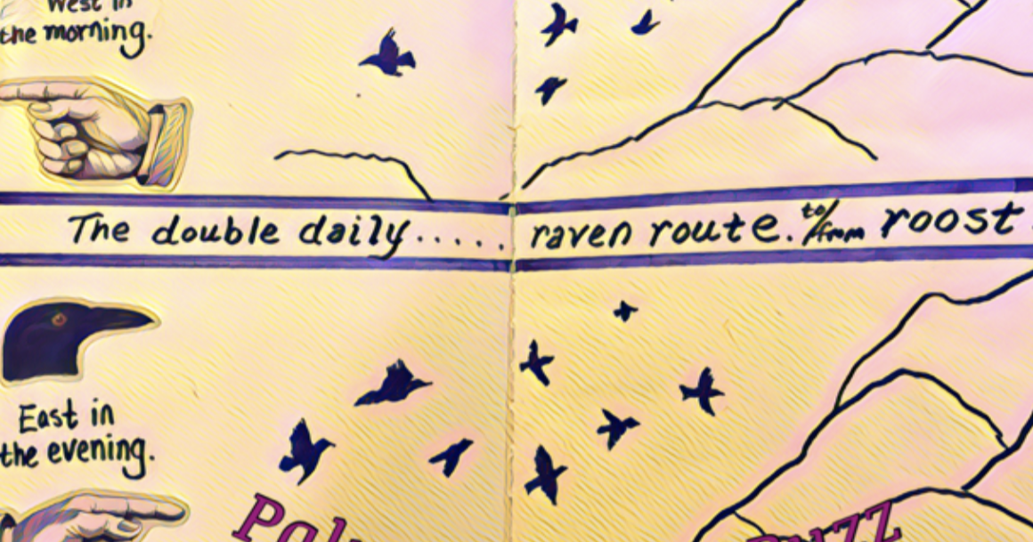 Communal raven route to overnight roosts | Valley Life | frontiersman.com