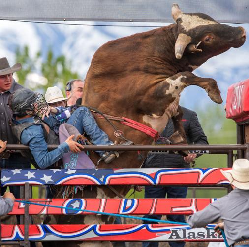 Rodeo Alaska spurs into action with full summer of events | Local ...