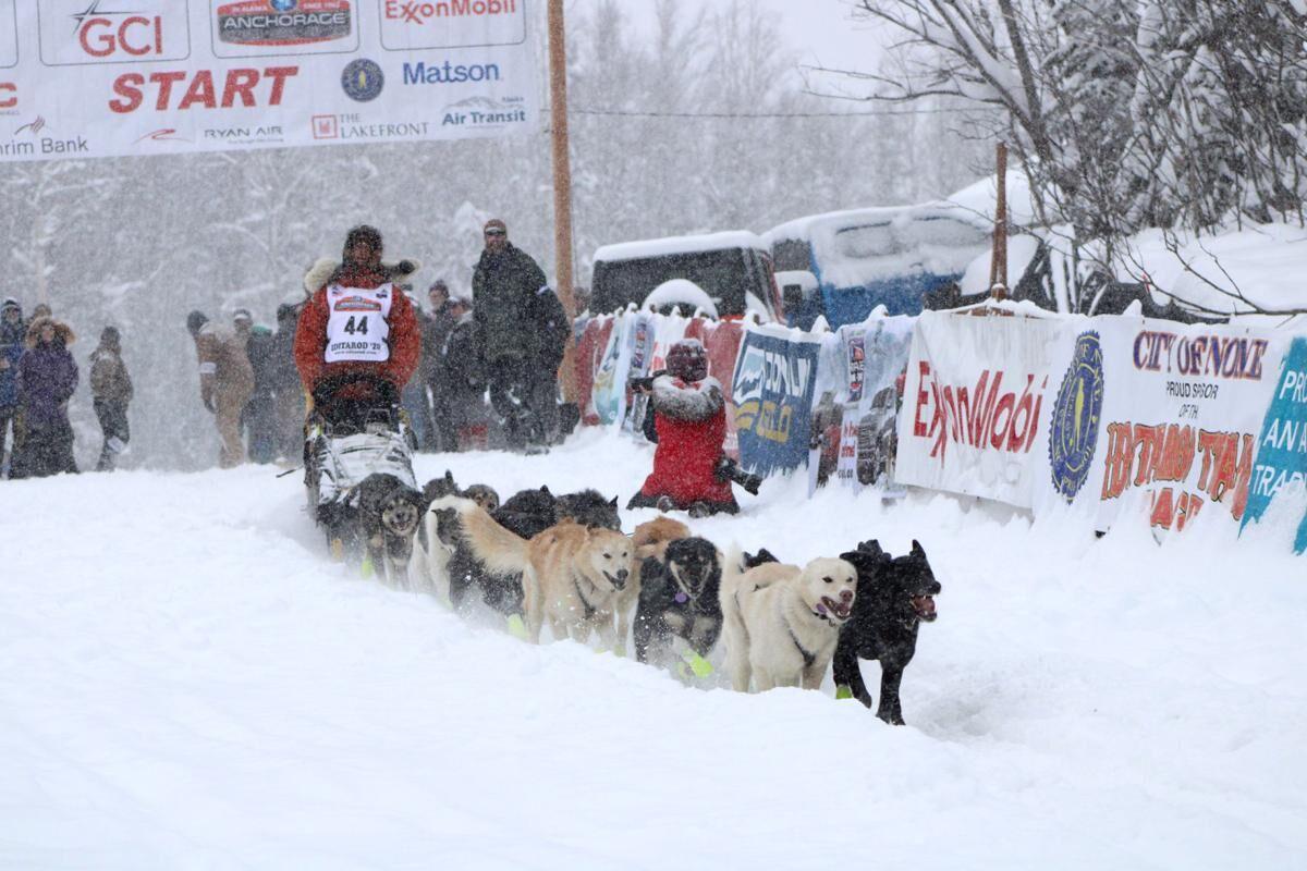 Iditarod announces 50th anniversary logo | Outdoors | frontiersman.com