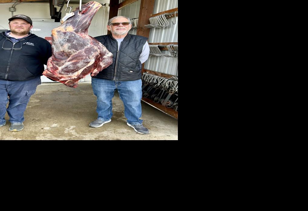 Processing hunters’ bounty a family affair | Food and Drink ...