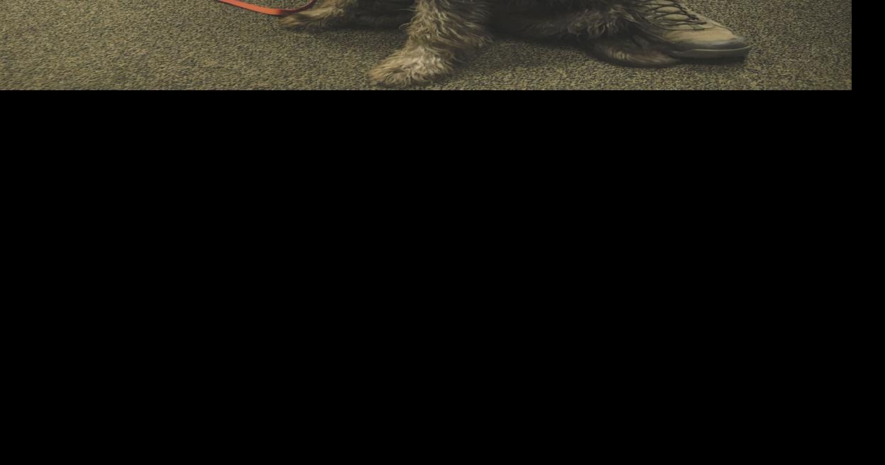 The touch of Arctic Paws | Valley Life | frontiersman.com