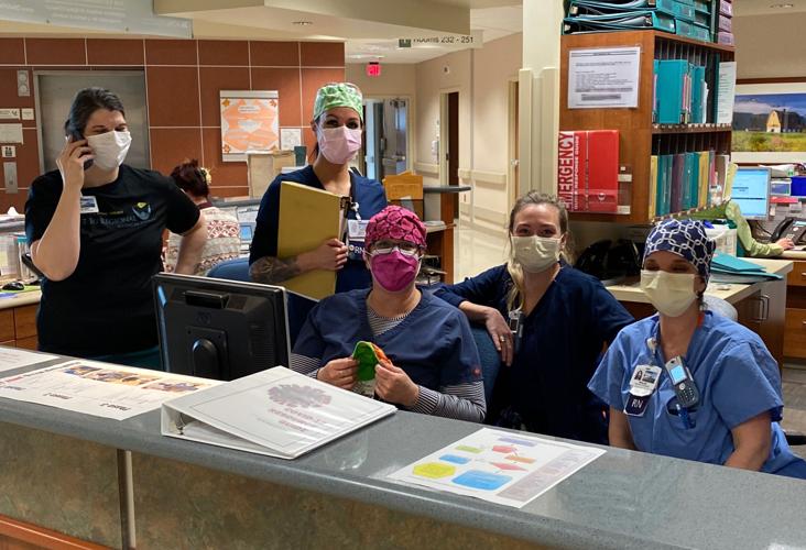 Mat-Su community shows solidarity with frontline medical staff | Valley ...