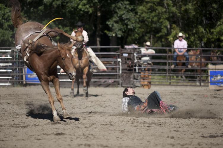 The 2013 Alaska State Fair Rodeo | Featured | frontiersman.com