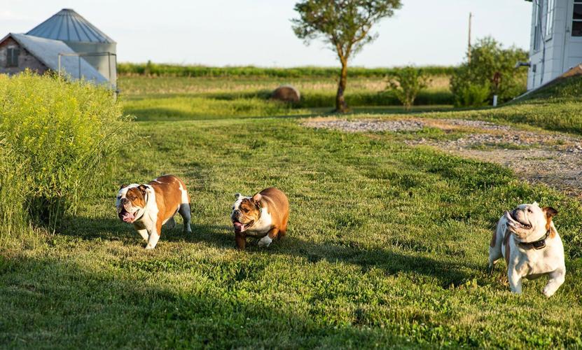 Living the sweet life at honey producer Fat Head Farms | Archives ...