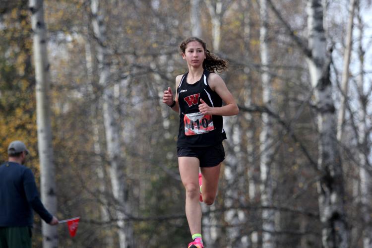 Wasilla sophomore, Colony senior earn region cross-country running ...