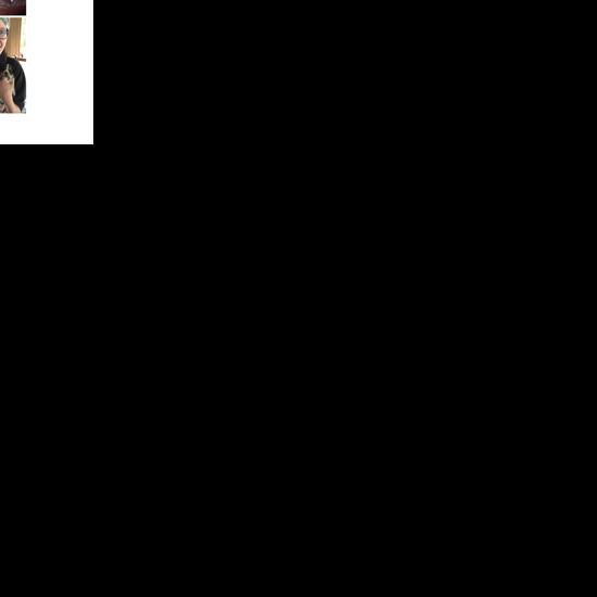 PALMER BUZZ: Celebrate Year of the Dog with Famous Palmer Dogs and ...