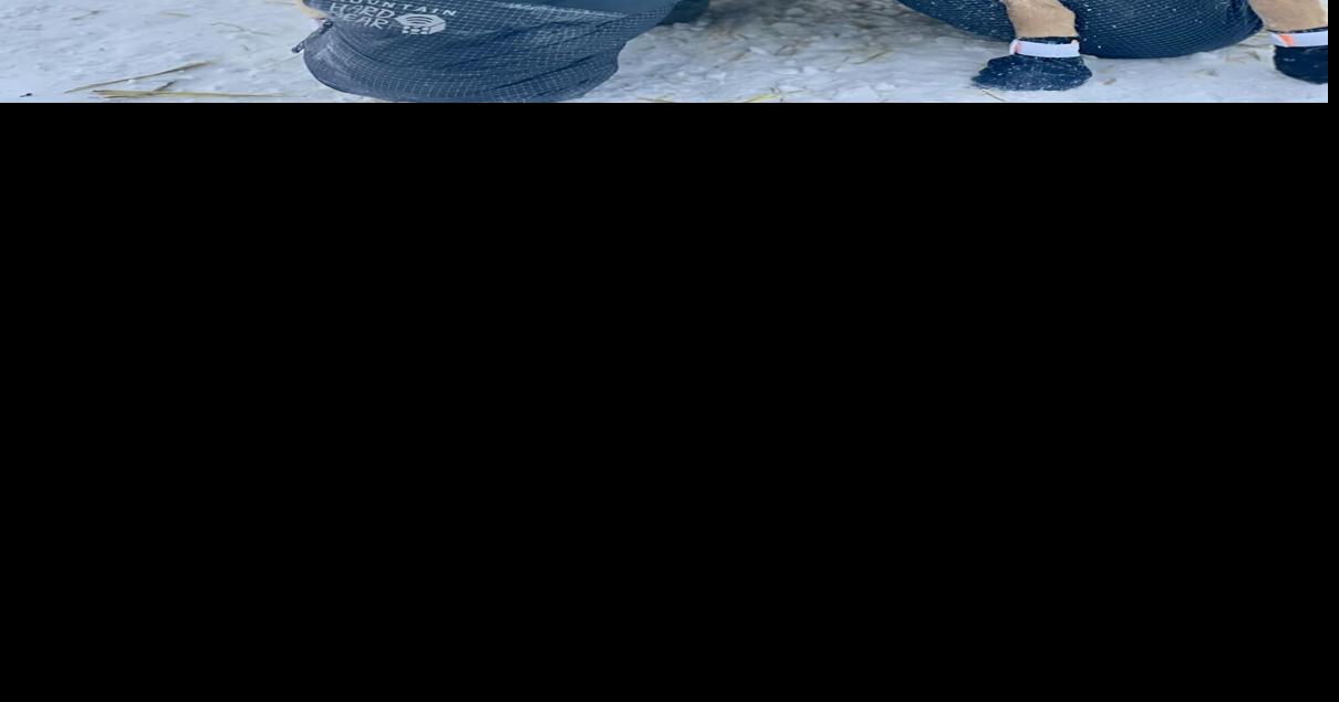 2023 Knik 200 Joe Redington Sr. Memorial race | Outdoors | frontiersman.com