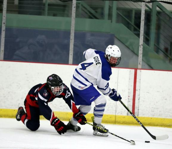 Hawks, Moose advance to Division II state hockey title game | Local ...