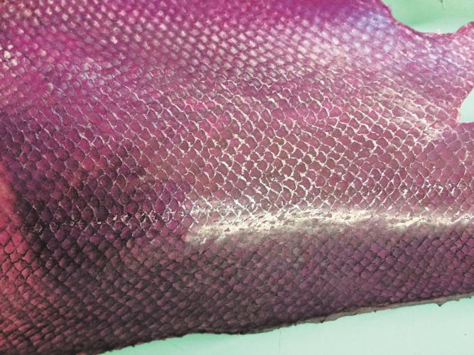Students partcipate in fish skin tanning workshop | Valley Life ...