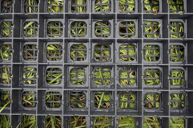 Cottonwood CreeK Trail Head Geoblock Installation | Featured ...