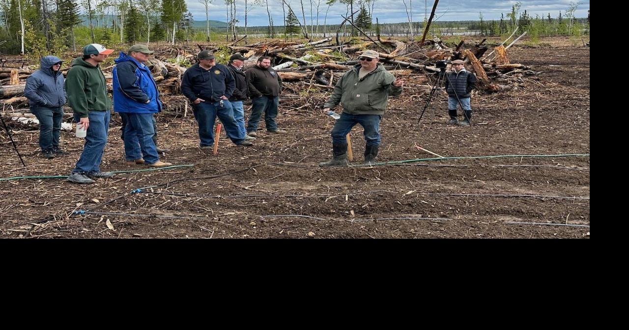 Nenana-Tokchaket agriculture project has its first crops planted ...