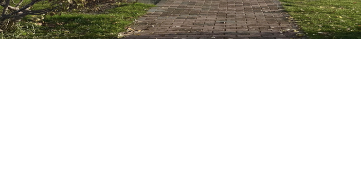 Palmer Alaska Buzz week To remember | Valley Life | frontiersman.com