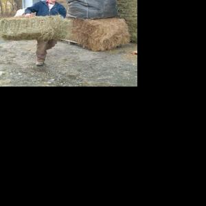 Farmers strive to meet demand in poor hay year | Local News ...