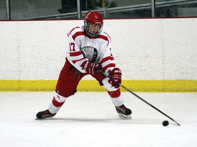 Valley hockey squads dominate Peninsula opponents | Local Sports ...