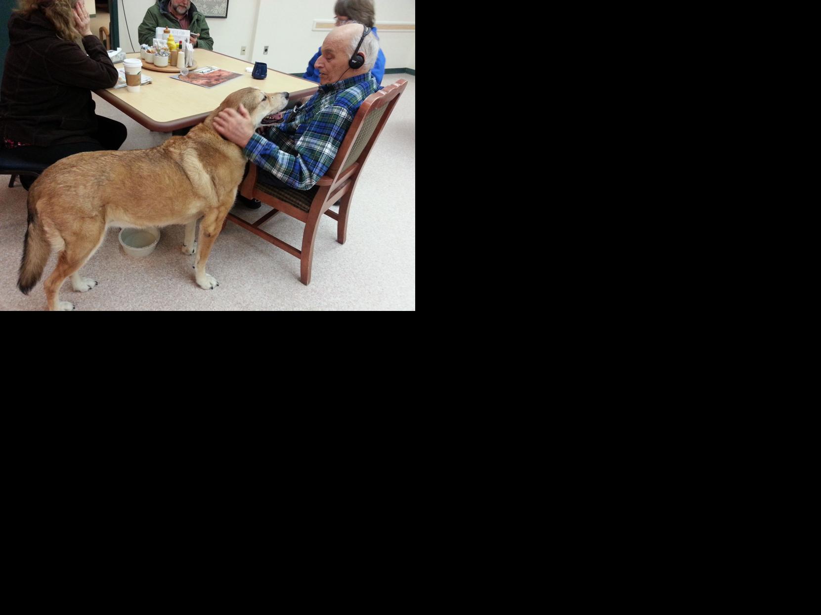 Blue the Pioneer dog | Local News Stories | frontiersman.com