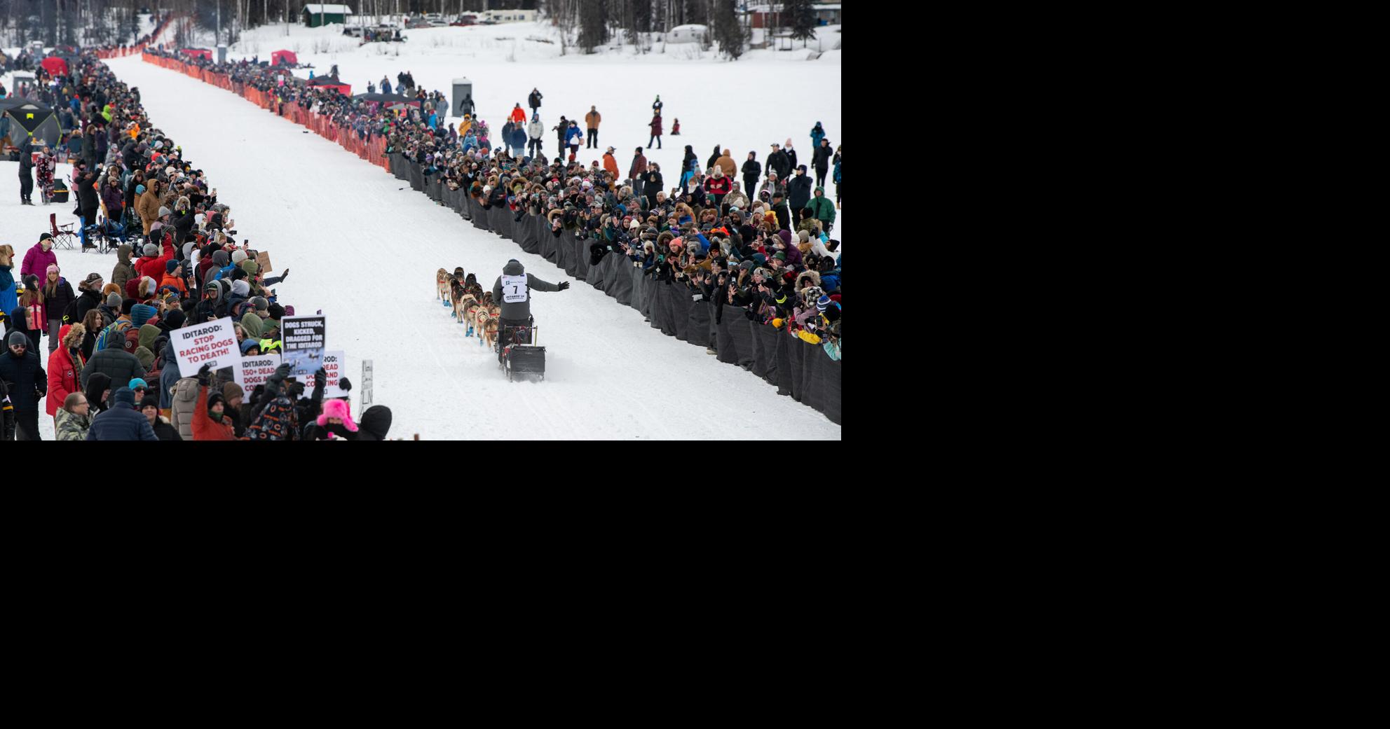 Mushers, teams make their way to Nome | Local News | frontiersman.com