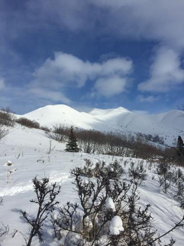 Local greats dominate ‘Crazy Lazy’ race | Local Sports | frontiersman.com