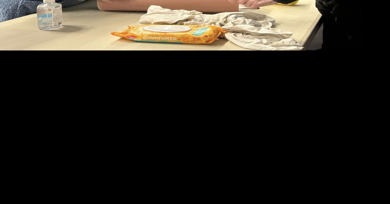 Willow Community Emergency Response Team hosting bleeding wounds ...