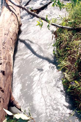 Mat River hungry again | Local News | frontiersman.com