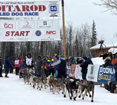 Nicolas Petit wins the First Musher to the Yukon Award | Local Sports ...