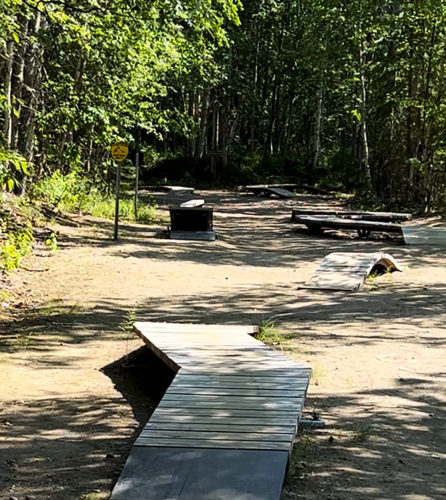 “We just want people to come out and enjoy this place.” Willow Lions ...