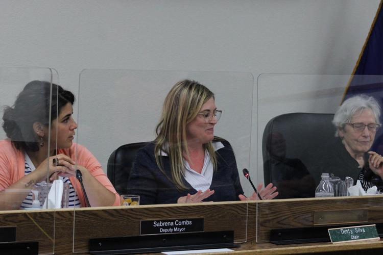Council, BED discuss priority projects in Palmer | Local News Stories ...