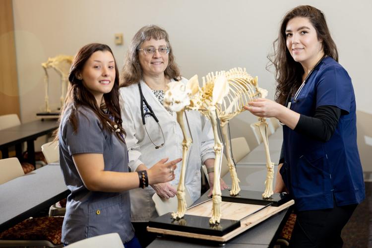 Not just for the birds: Mat Su College launches Vet Tech program ...