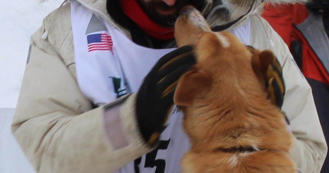 From grief comes inspiration for Navy SEAL turned dog musher | AK•MIL ...