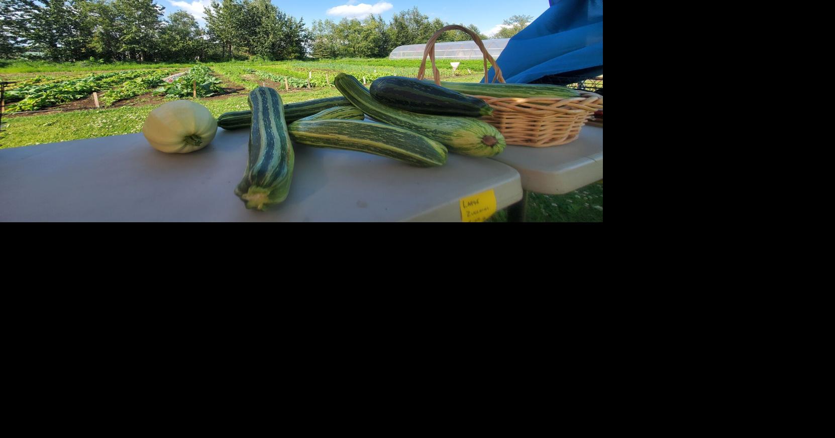 State moving to implement new farm loan forgiveness law | Local News ...